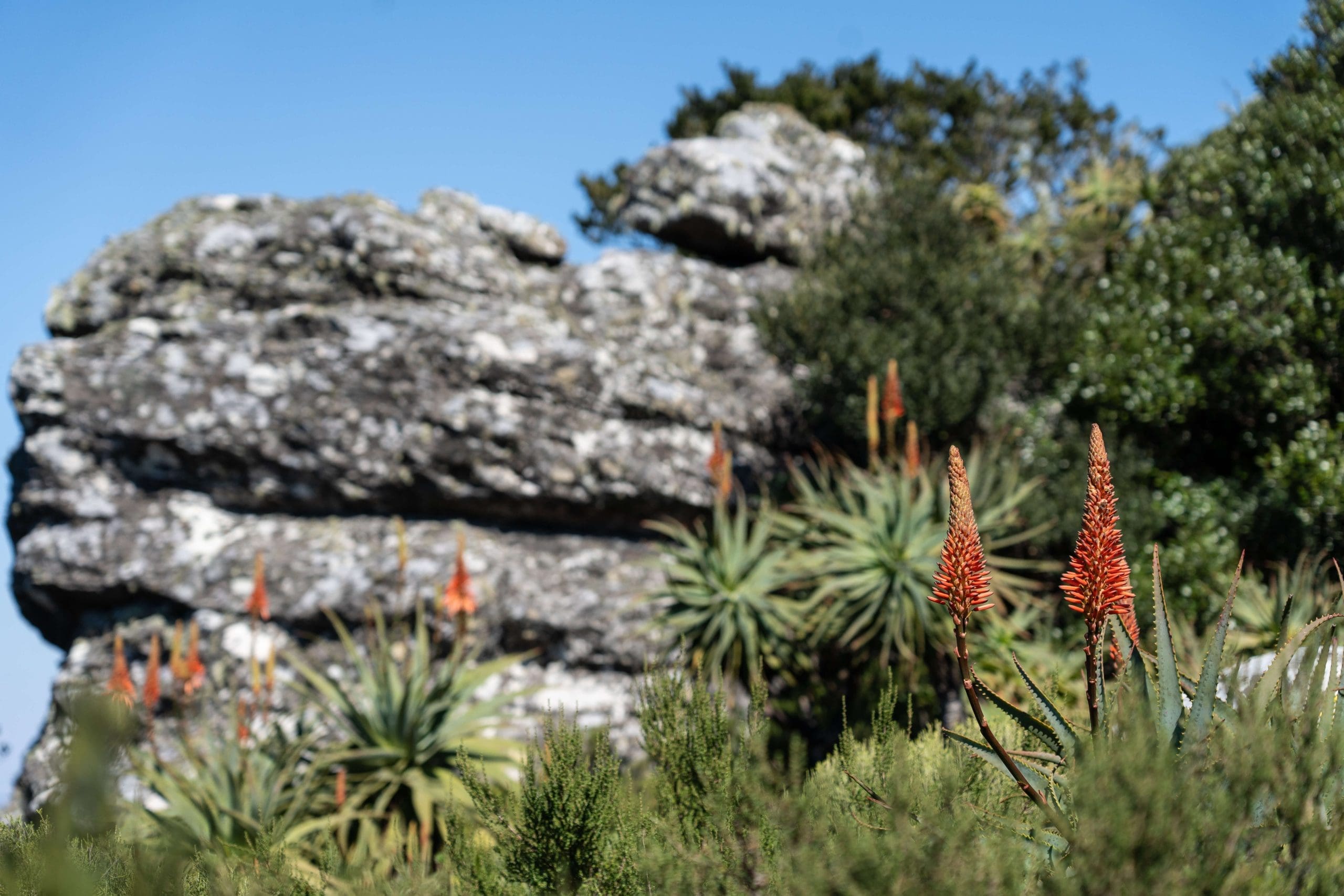 Explore The Kruger to Canyon area with Marepe Mountain View
